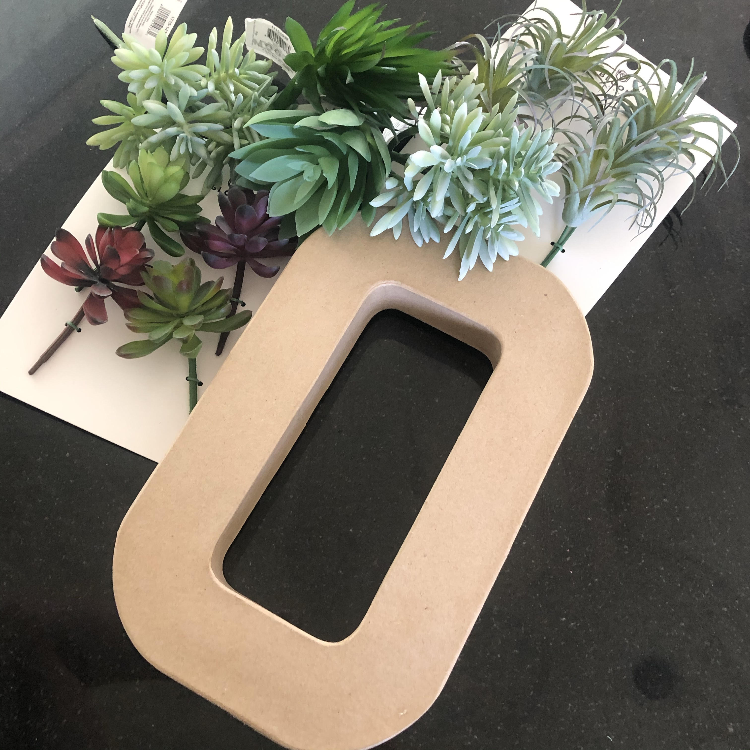 DIY Monogram Succulent Sign