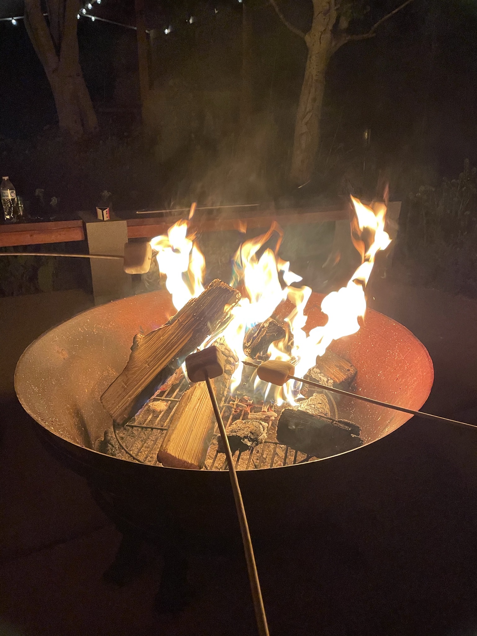 S’mores Please